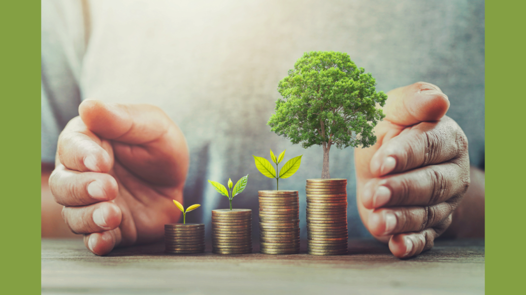 5-ideas-for-bridging-the-wealth-gap-in-developing-countries